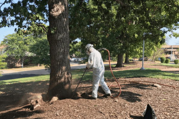 How Air Spading Could Save Your Tree's Life - Eco Tree Company