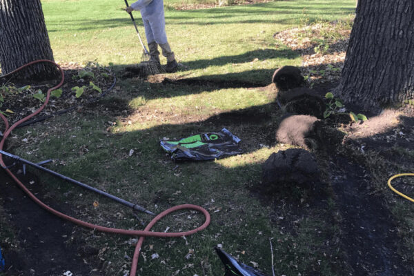 How Air Spading Could Save Your Tree's Life - Eco Tree Company