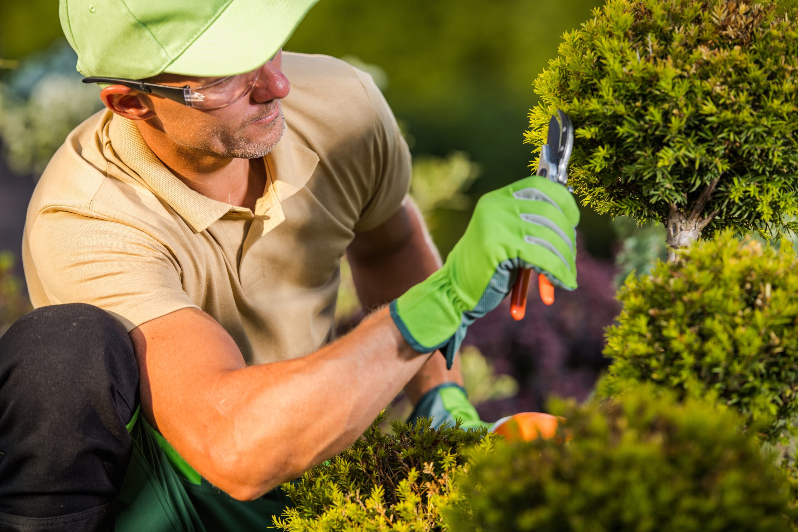 Weeding Madison, WI | Landscaping Services | Eco Tree