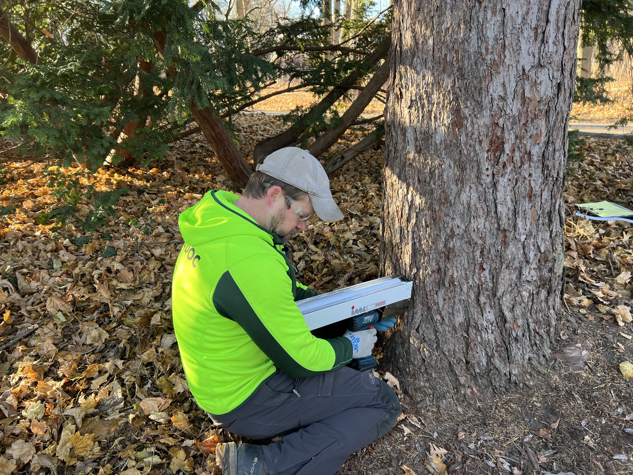 Tree Risk Assessment | Madison, WI | Tree Services | Eco Tree